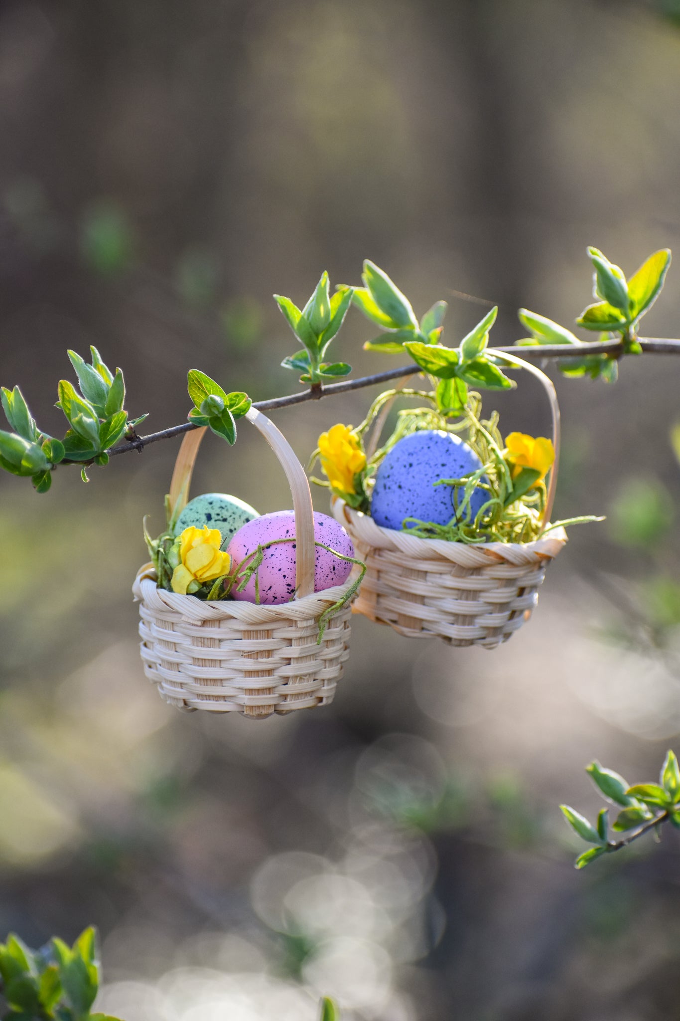Moth Plushie – Treehouse Creatures