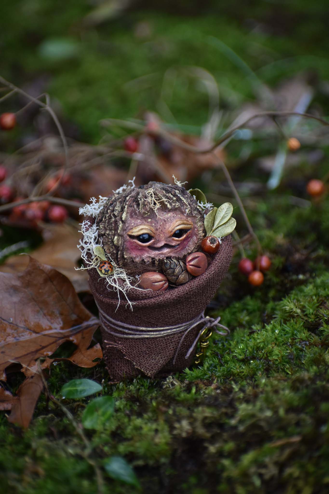 June Bug- Baby Walnut Sprite – Treehouse Creatures