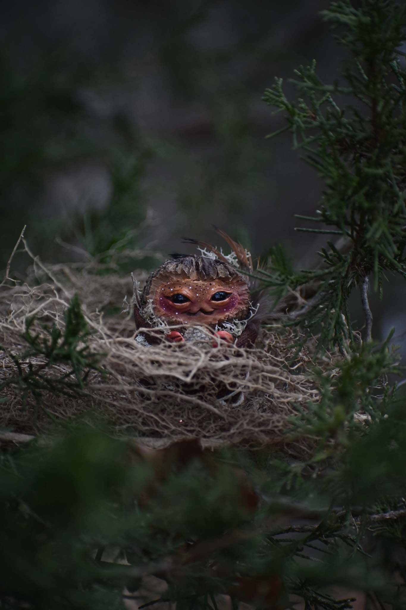 Little Bird- Baby Walnut Sprite – Treehouse Creatures