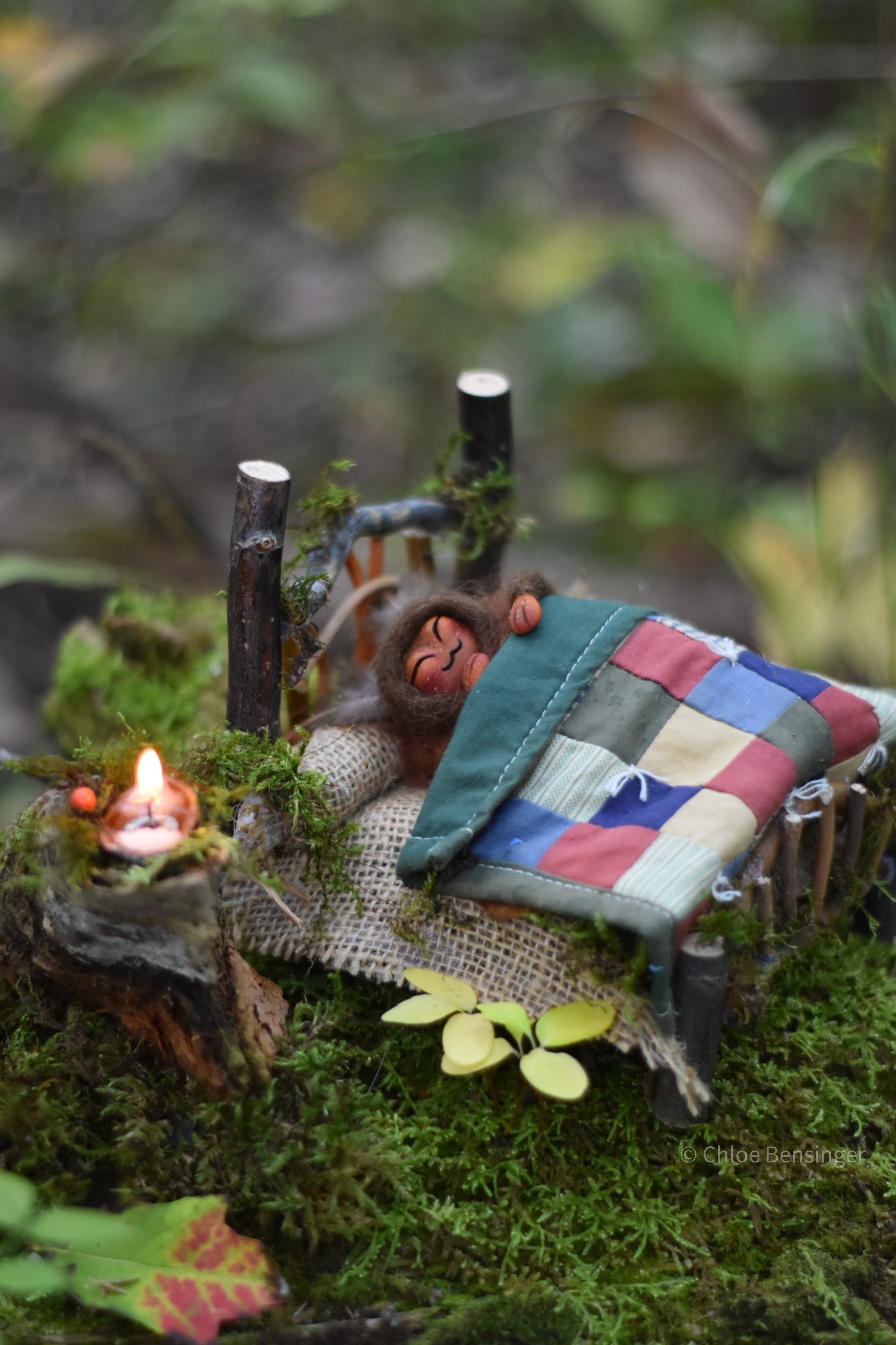 Meet The Creatures – Treehouse Creatures