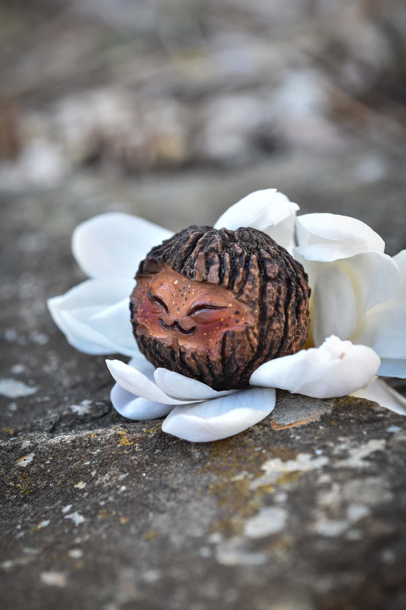 Walnut Pin – Treehouse Creatures