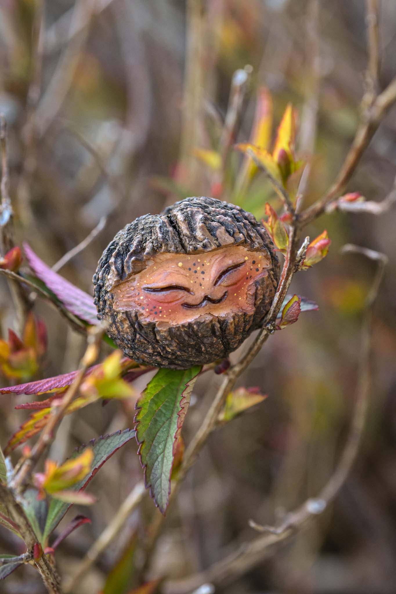 Custom Walnut Pin – Treehouse Creatures