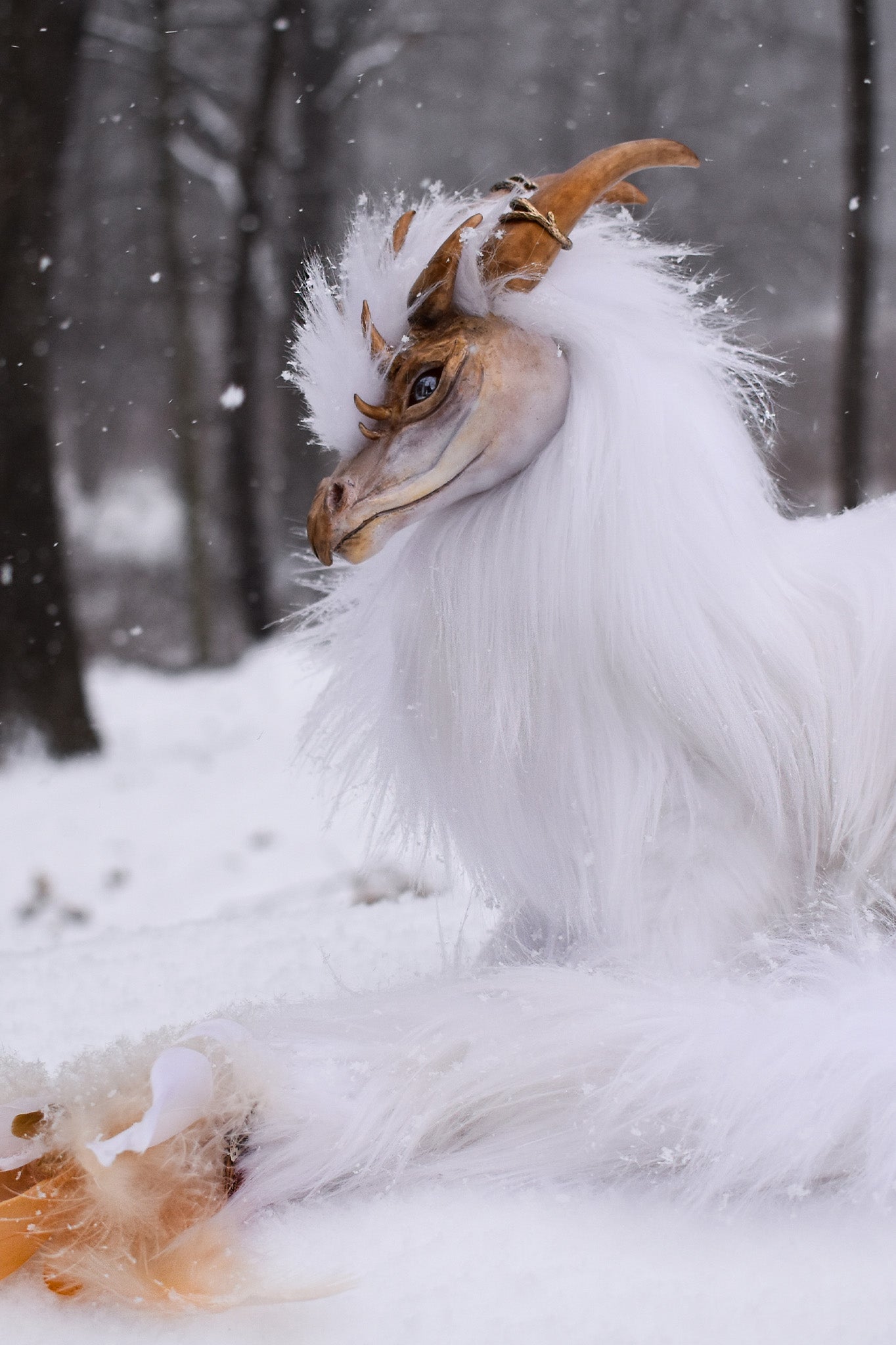 Whym – Treehouse Creatures